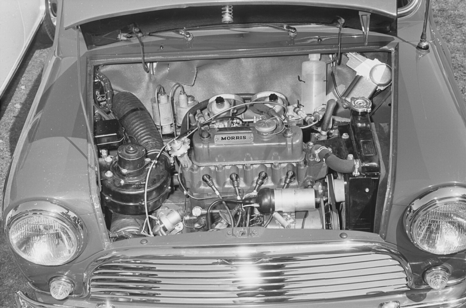 Morris/Mini Cooper… | primotipo...