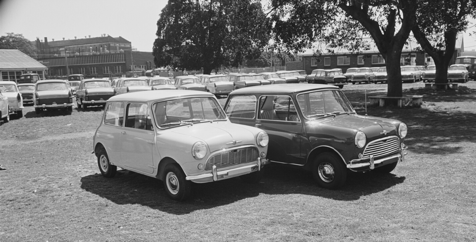 Morris/Mini Cooper… | primotipo...